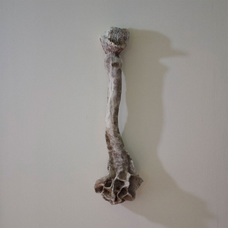 Exposición de Naoki Kato – infoceramica